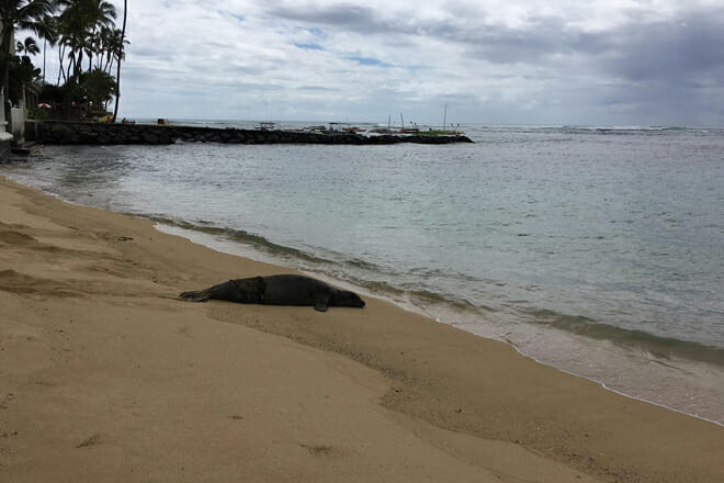 Sans Souci Beach Park