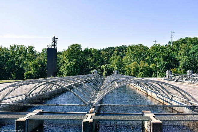 Shepherd of the Hills Fish Hatchery
