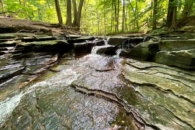 South Chagrin Reservation
