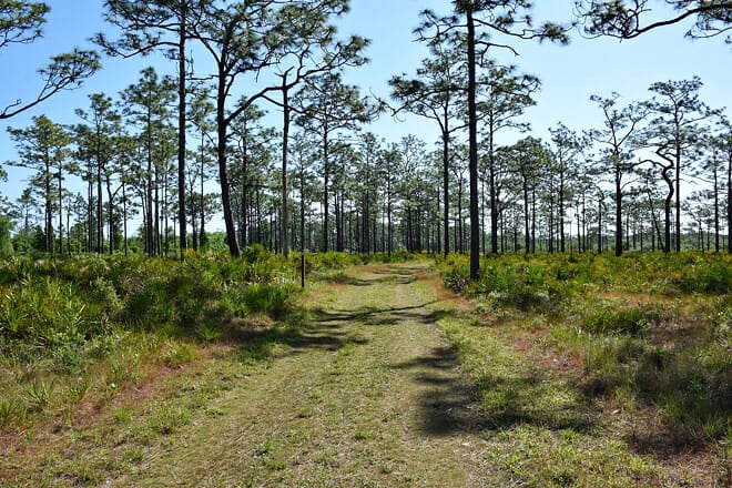 Split Oak Forest Wildlife and Environmental Area