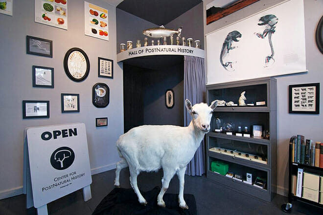 The Center for PostNatural History