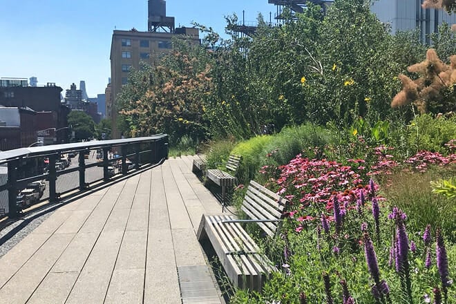 The High Line
