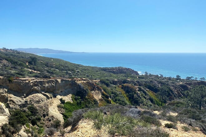Torrey Pines State Reserve