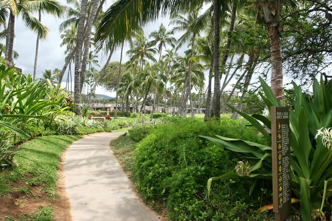 Wailea Beach Walk