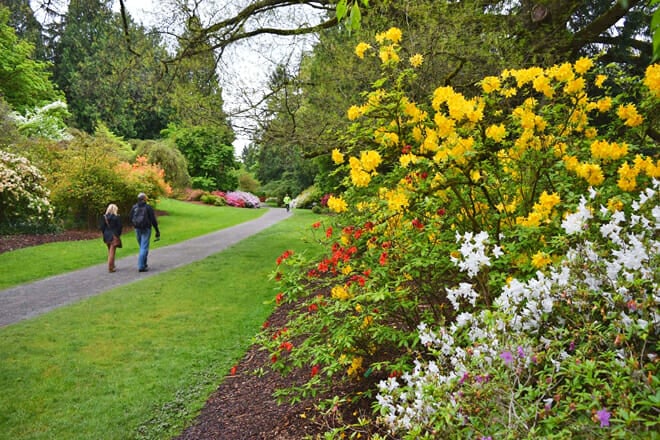 Washington Park Arboretum