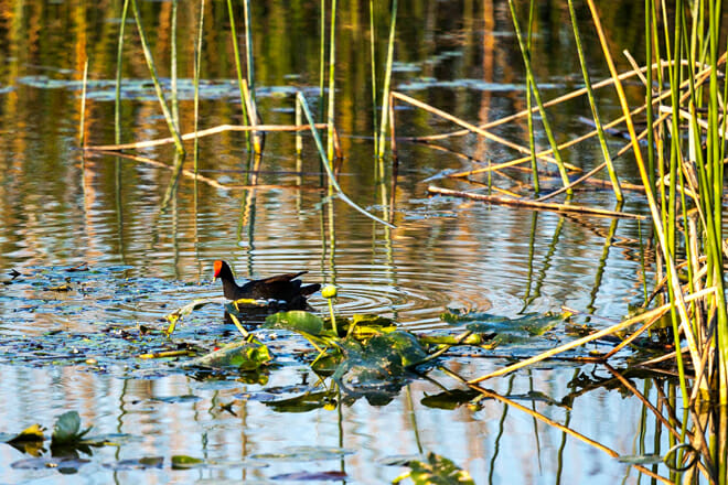 Winding Waters Natural Area