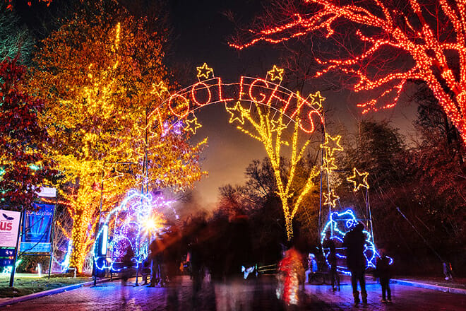 ZooLights