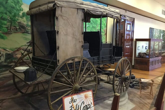 Alabama Museum of Natural History