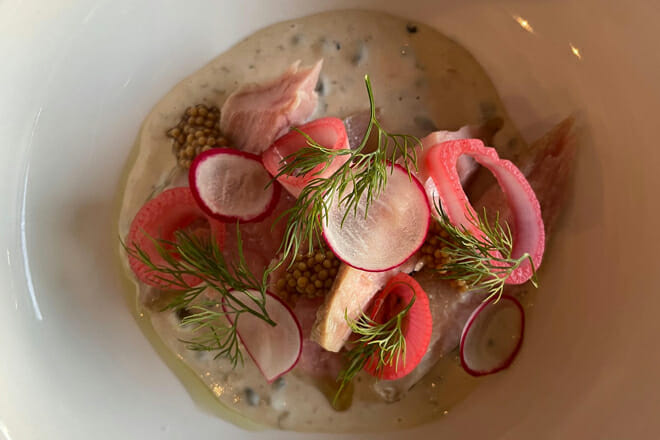 Alchemy Wine and Beer