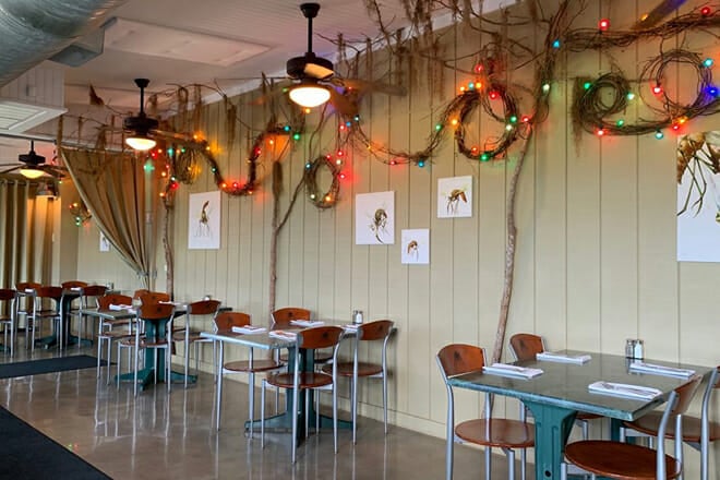 Amos Mosquito&rsquo;s Restaurant & Bar