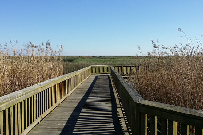 Anahuac National Wildlife Refuge
