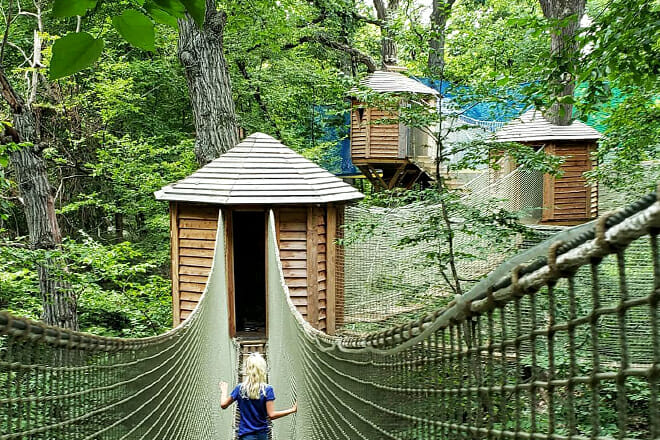 Arbor Day Farm Tree Adventure &ndash; Nebraska City, Nebraska