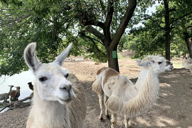 Arbuckle Wilderness Park, Oklahoma