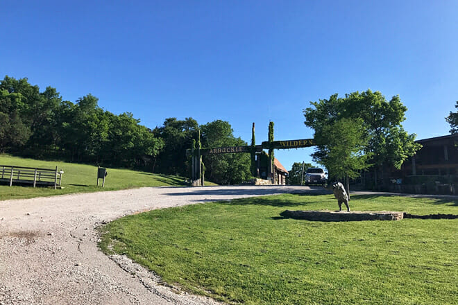 Arbuckle Wilderness