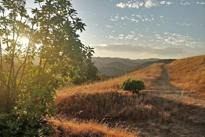 Armstrong Redwoods State Reserve