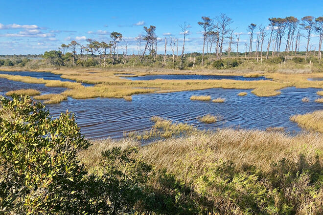 Assateague State Park