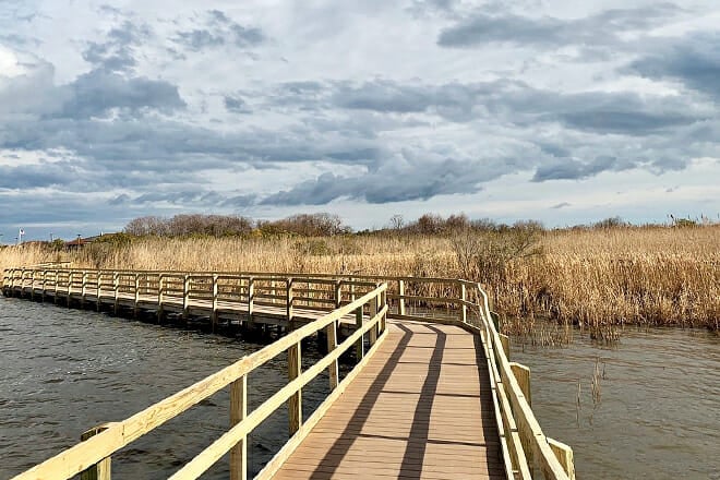 Back Bay National Wildlife Refuge