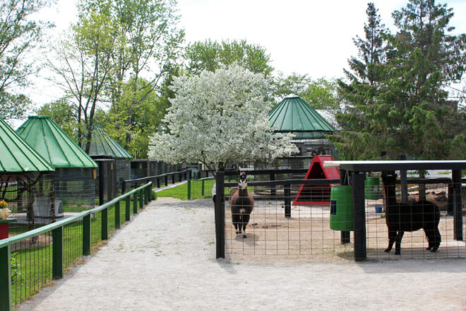 Bear Den Zoo & Petting Farm