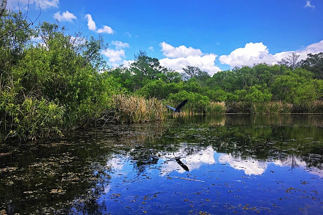Big Cypress National Preserve