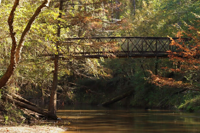 Big Thicket National Preserve