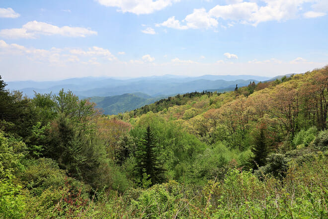 Blue Ridge Parkway