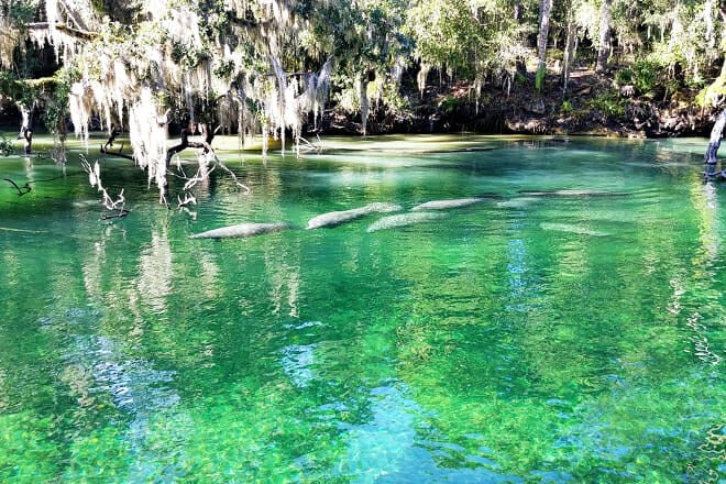 Blue Spring State Park
