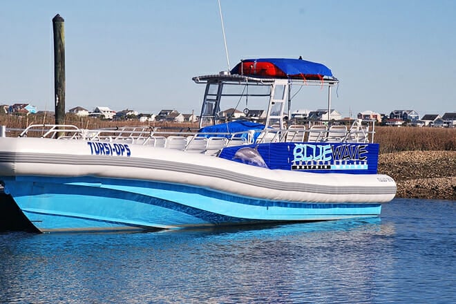 Blue Wave Adventures Dolphin Watch Tour