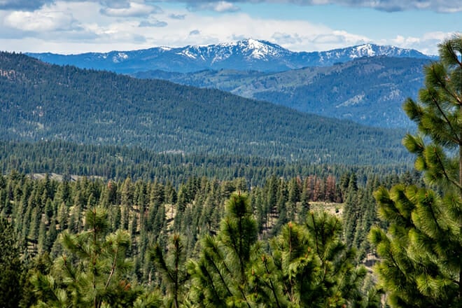 Boise National Forest
