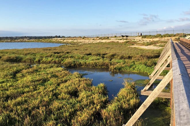 Bolsa Chica Ecological Reserve