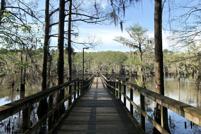 Caddo Lake State Park