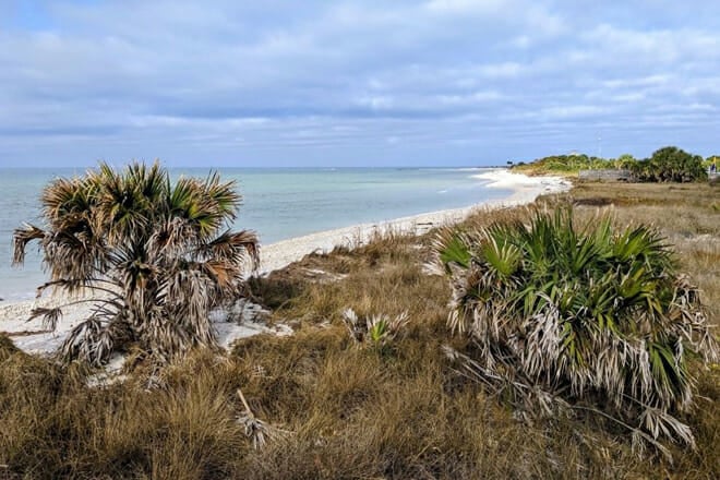Caladesi Island State Park