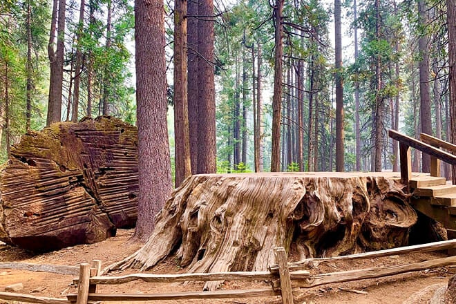 Calaveras Big Trees State Park