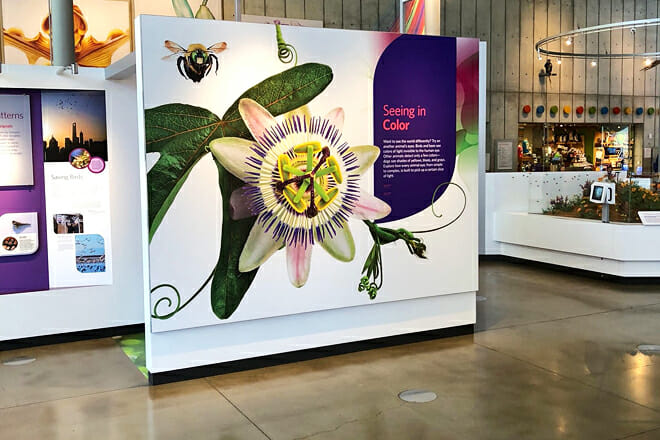 California Academy of Sciences