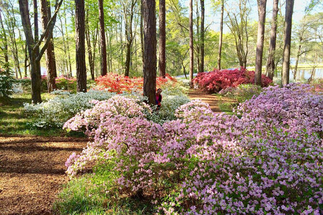 Callaway Gardens
