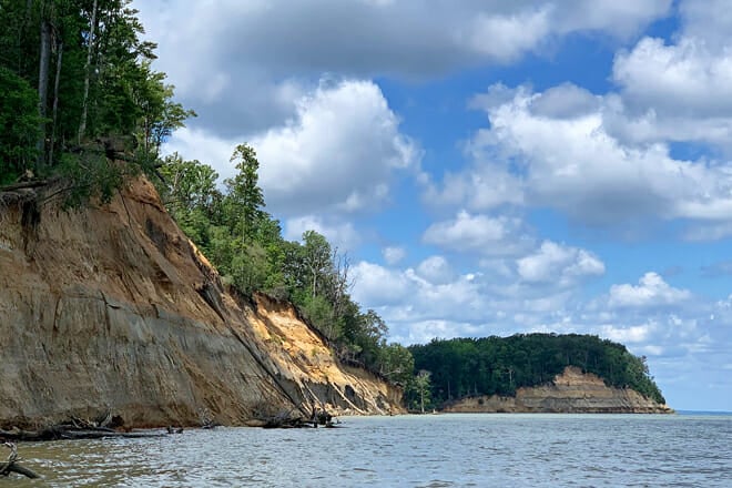 Calvert Cliffs State Park