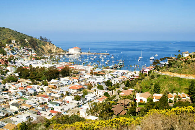 Catalina Island