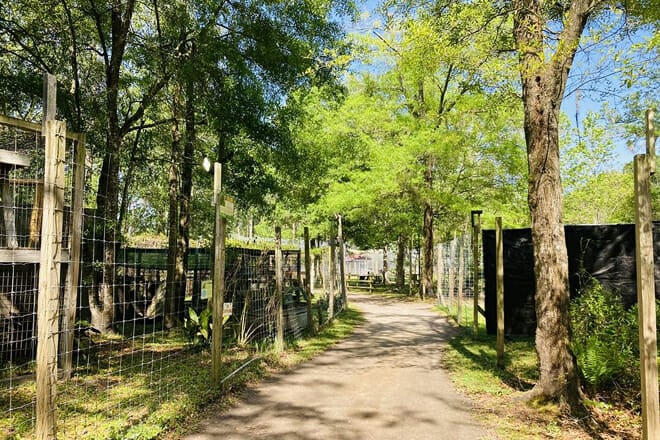 Catty Shack Ranch Wildlife Sanctuary