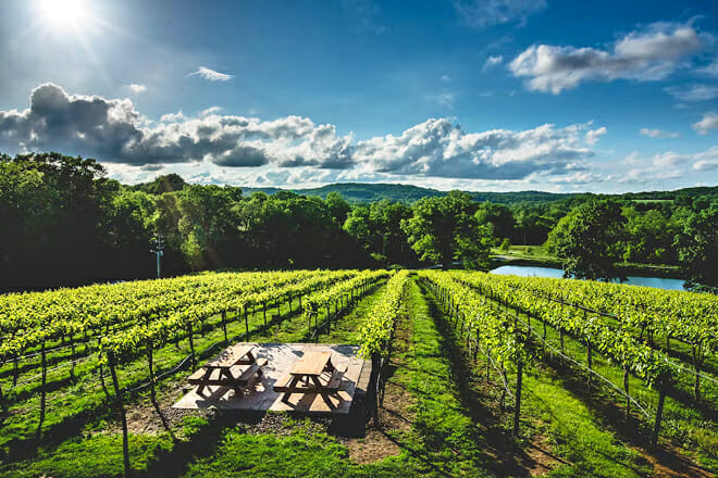 Chandler Hill Vineyards