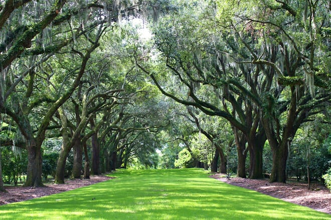 Charles Towne Landing State Historic Site