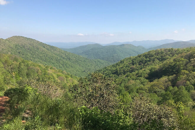 Chattahoochee-Oconee National Forest