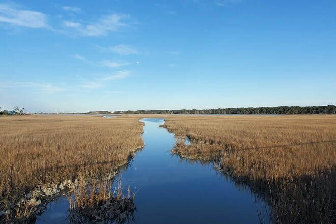 Chincoteague and Assateague Islands