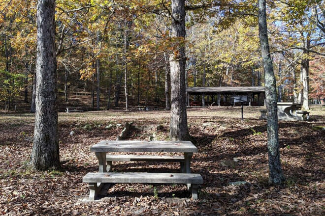 Cloudland Canyon State Park