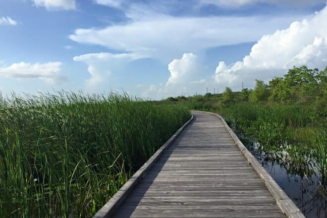 Creole Nature Trail