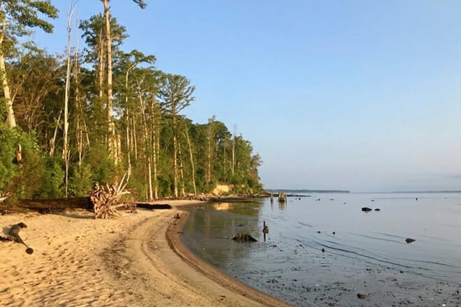 Croatan National Forest