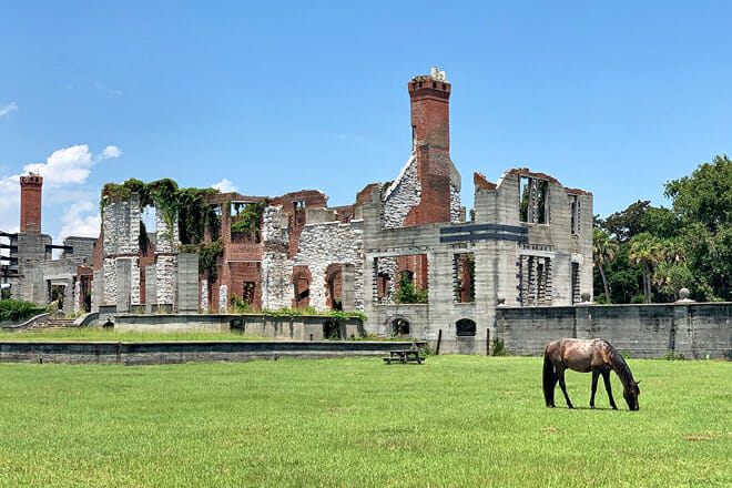 Cumberland Island National Seashore