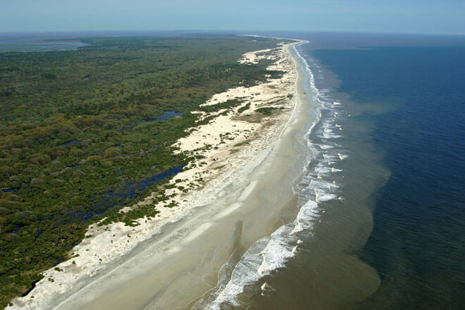 Cumberland Island
