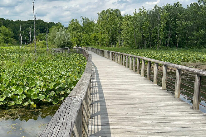 Cuyahoga Valley National Park in Brecksville