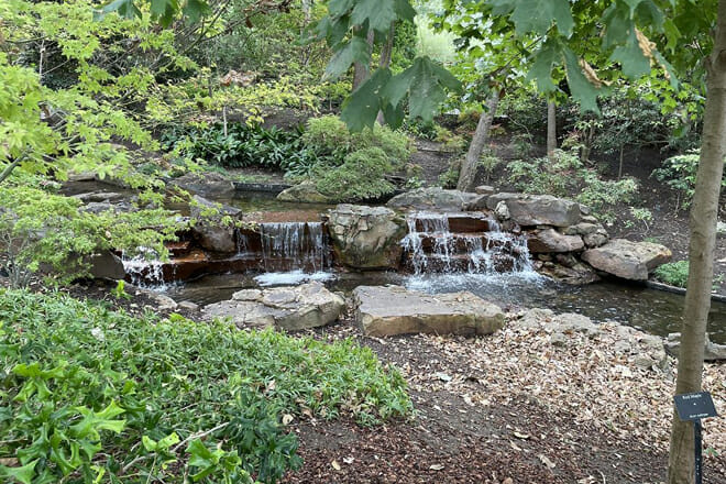 Dallas Arboretum & Botanical Gardens