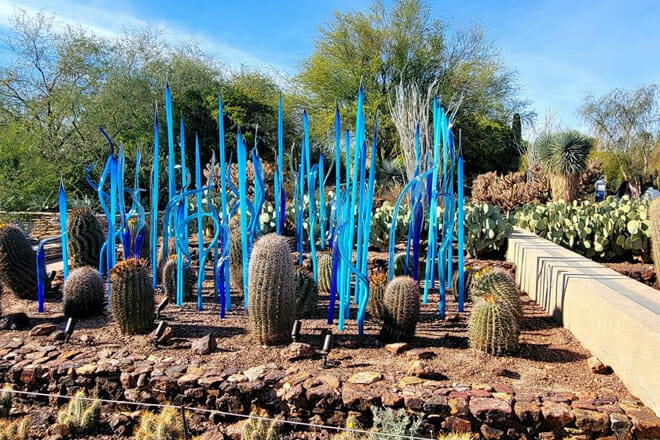 Desert Botanical Garden
