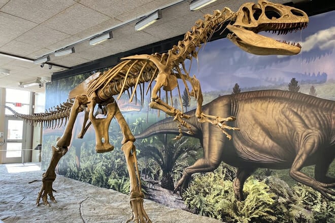 Dinosaur National Monument